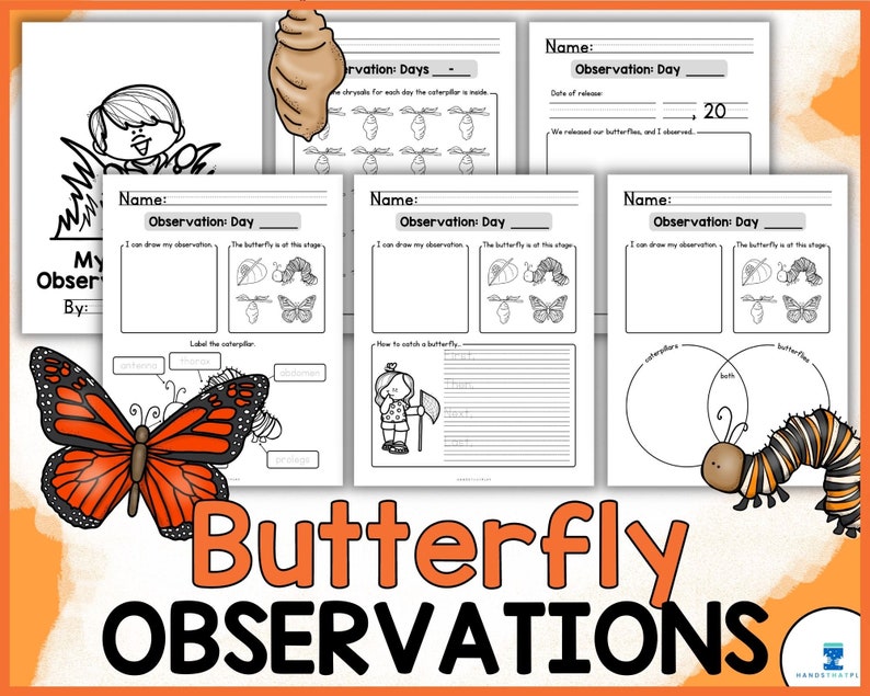 Butterfly Observation Journal Life Cycle: Caterpillar to - Etsy
