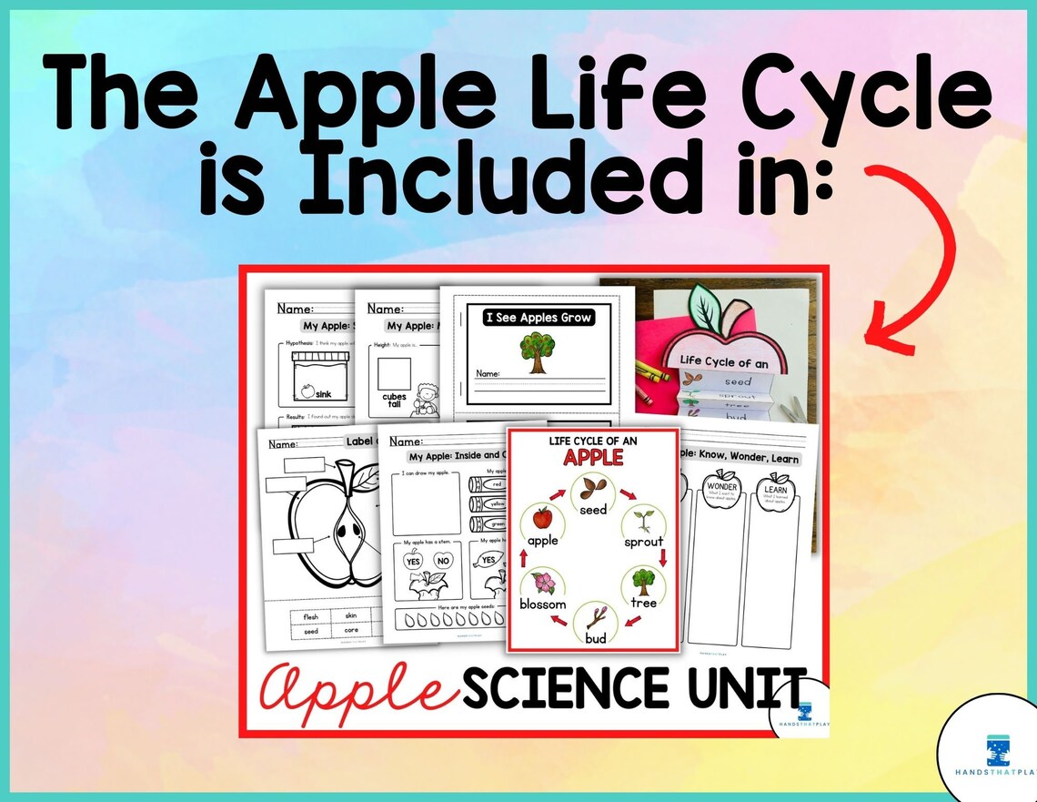 Apple Life Cycle Craft Activity: Printable Learning Activity - Etsy