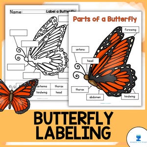 Butterfly Science - Label Parts of a Butterfly Diagram - Etsy