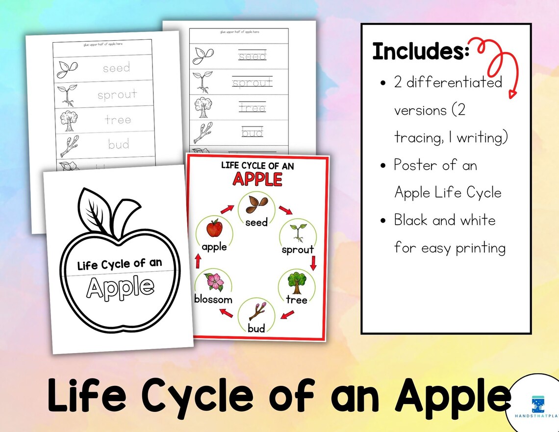 Apple Life Cycle | Life Cycle of an Apple | All About Apples ...