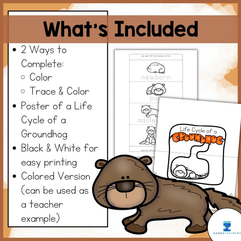 Groundhog Life Cycle Life Cycle of a Groundhog Craft - Etsy