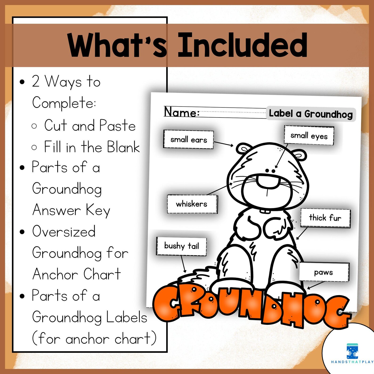 Groundhog Science - Label Parts of a Groundhog Diagram - Etsy