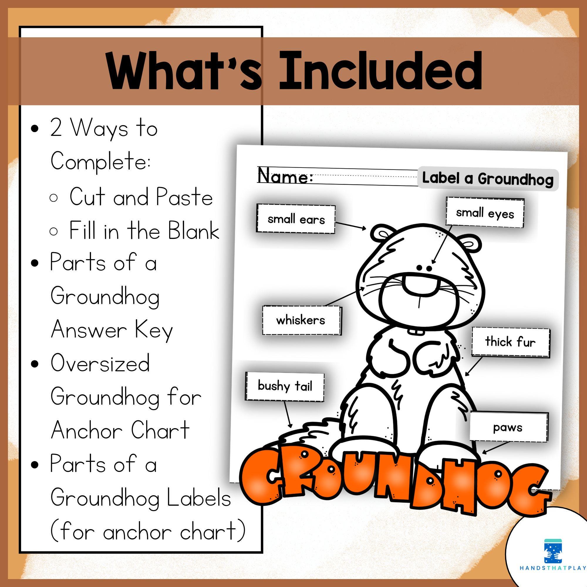 Groundhog Science - Label Parts of a Groundhog Diagram - Etsy