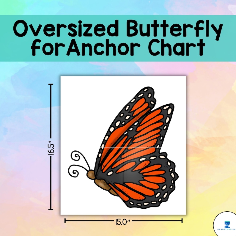 Butterfly Science - Label Parts of a Butterfly Diagram - Etsy