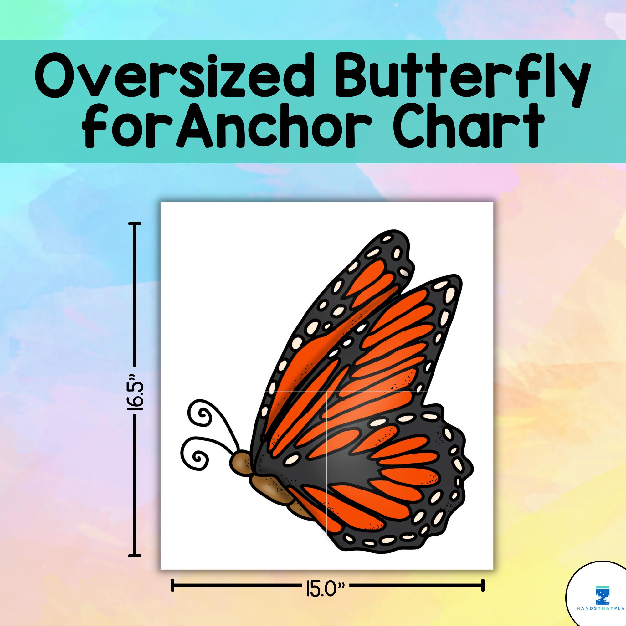 Butterfly Science - Label Parts of a Butterfly Diagram - Etsy