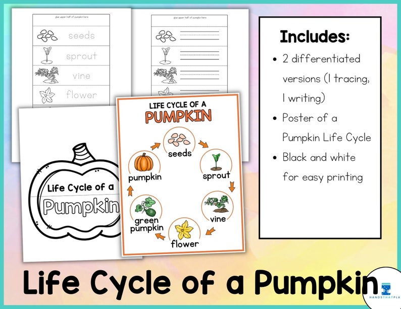 Pumpkin Life Cycle | Life Cycle of a Pumpkin | All About Pumpkins ...