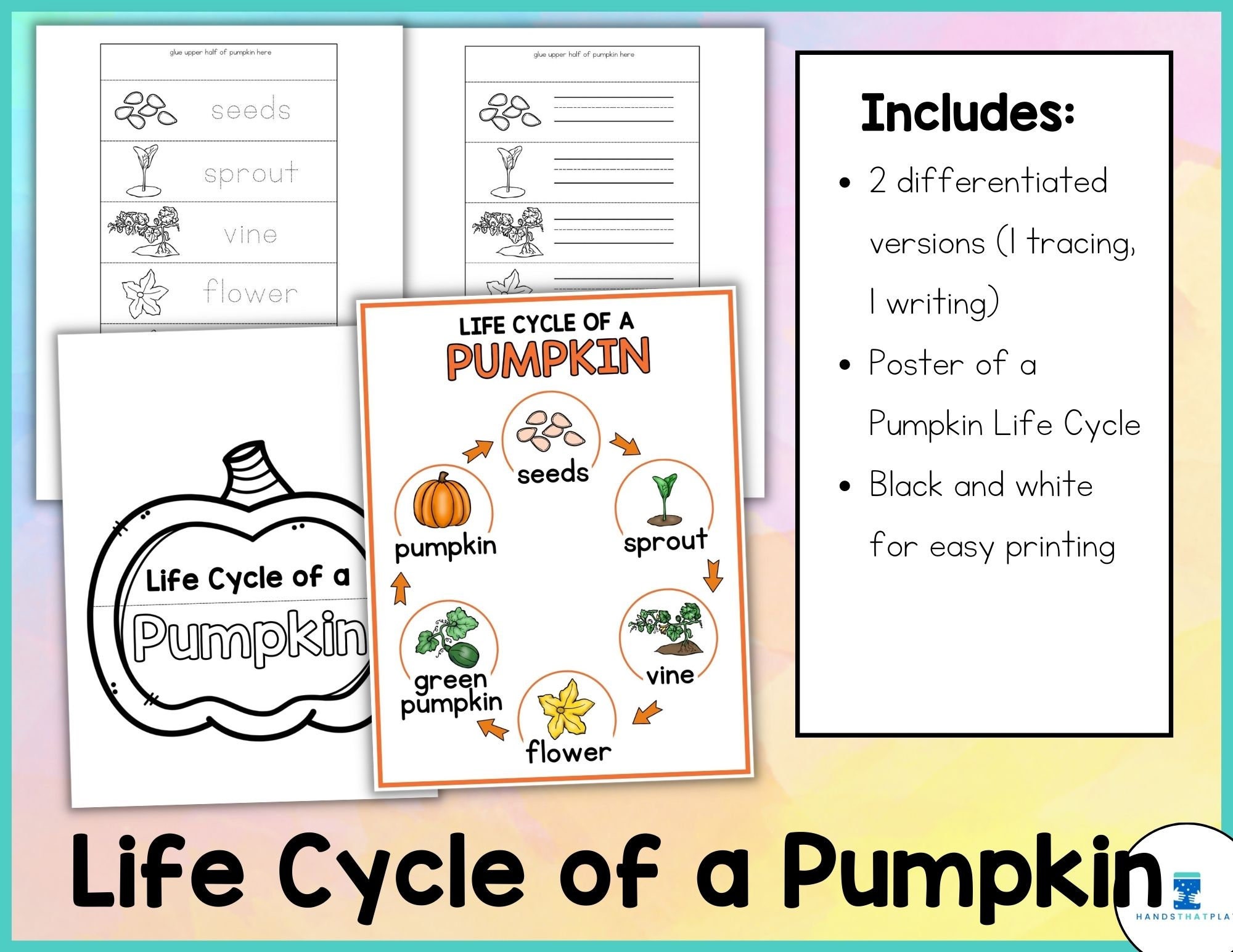 Pumpkin Life Cycle | Life Cycle of a Pumpkin | All About Pumpkins ...