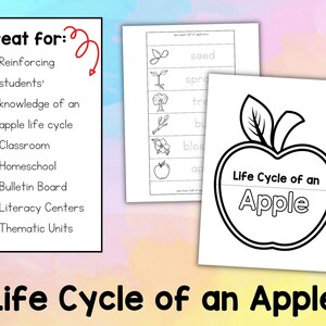 Apple Life Cycle Craft Activity: Printable Learning Activity - Etsy