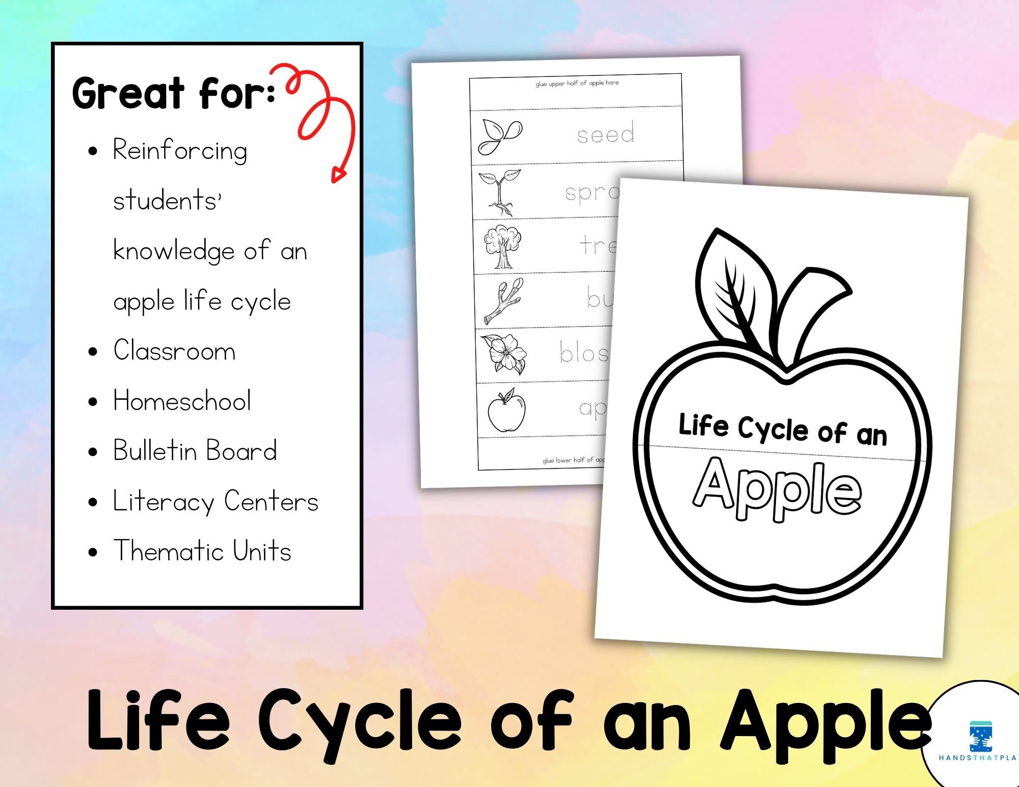 Apple Life Cycle Craft Activity: Printable Learning Activity - Etsy