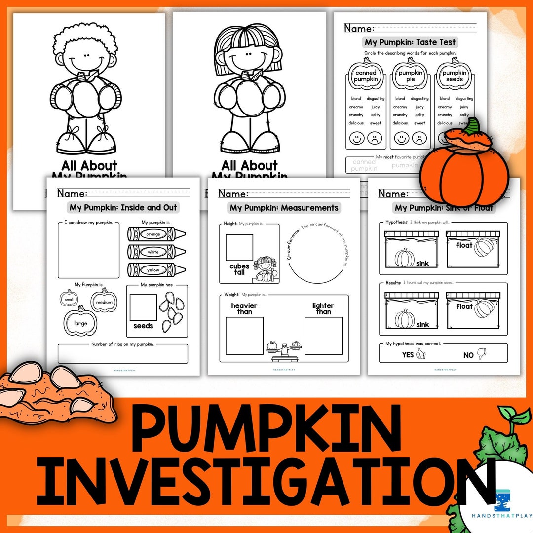 Pumpkin Science Investigation and Observation - Etsy