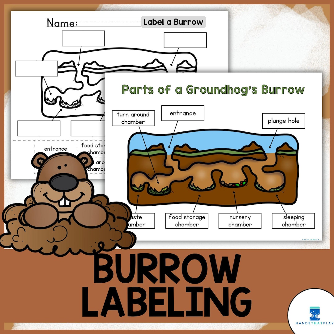 Groundhog Science - Label Parts of a Burrow Diagram - Etsy