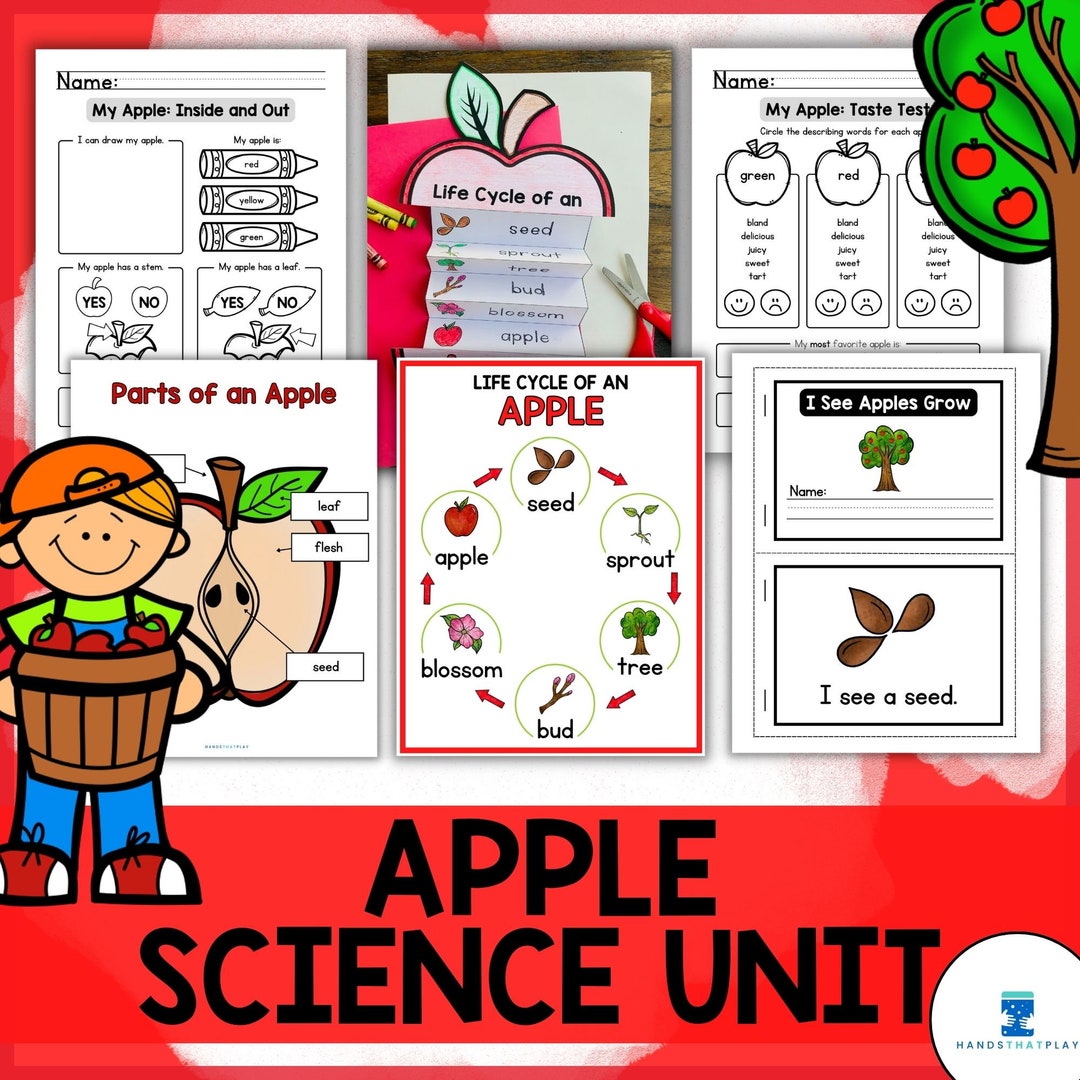 Apple Unit Study | All About Apples | Science, Math, Literacy, Craft ...