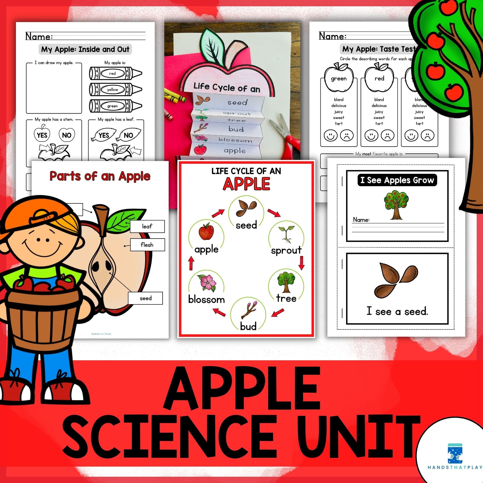 Apple Unit Study | All About Apples | Science, Math, Literacy, Craft ...