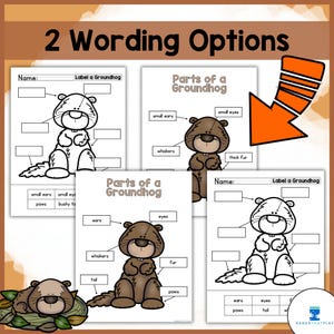 Groundhog Science - Label Parts of a Groundhog Diagram - Etsy