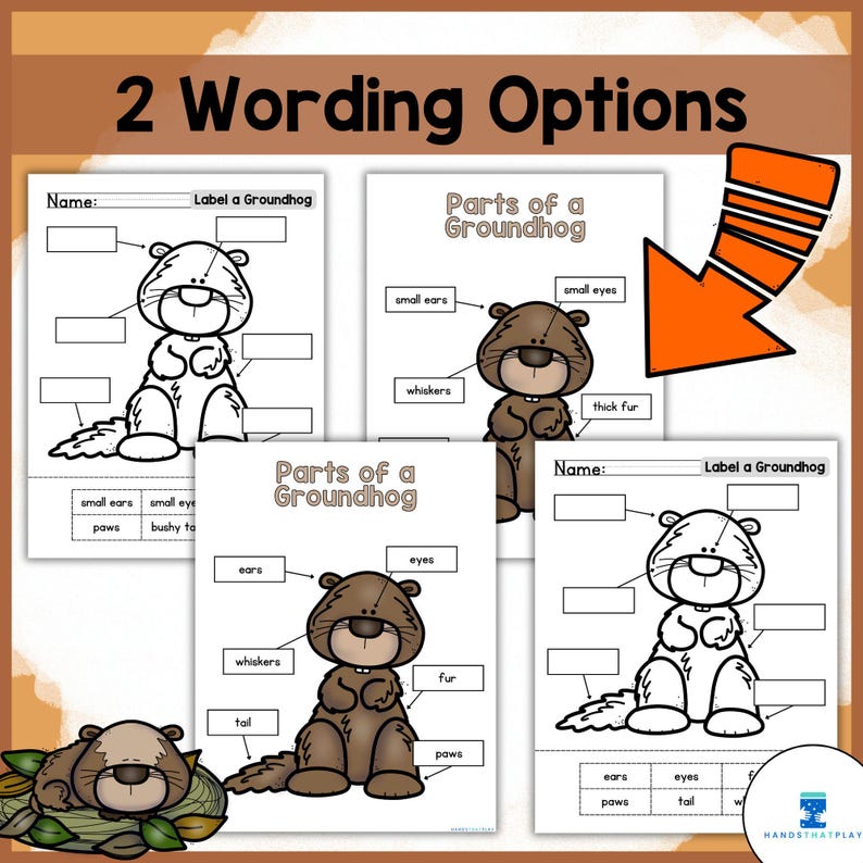 Groundhog Science - Label Parts of a Groundhog Diagram - Etsy