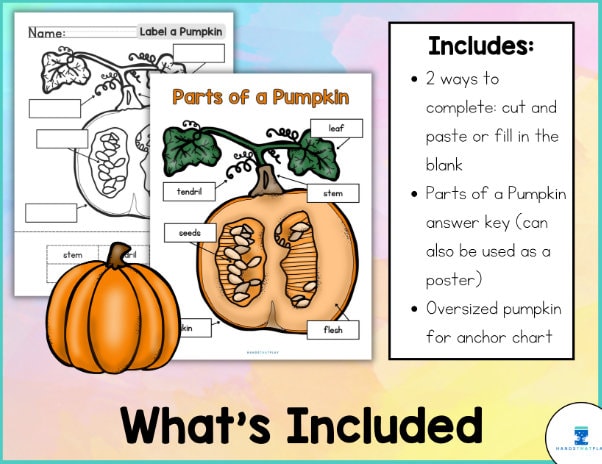 Pumpkin Science | Fall Activity | Label Parts of a Pumpkin Diagram - Etsy