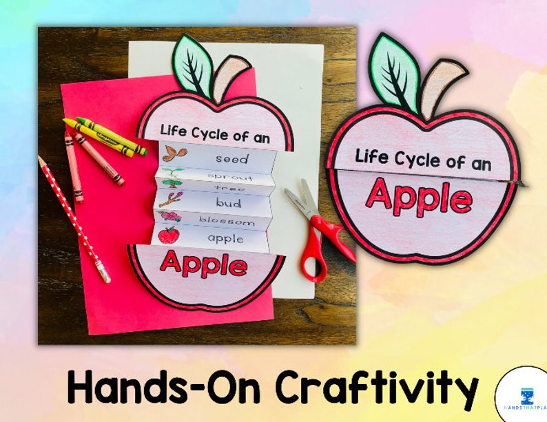 Apple Life Cycle Craft Activity: Printable Learning Activity - Etsy