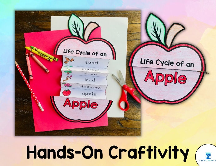 Apple Life Cycle Craft Activity: Printable Learning Activity - Etsy