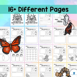 Butterfly Observation Journal - Life Cycle: Caterpillar to Butterfly - Etsy