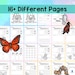 Butterfly Observation Journal - Life Cycle: Caterpillar to Butterfly - Etsy