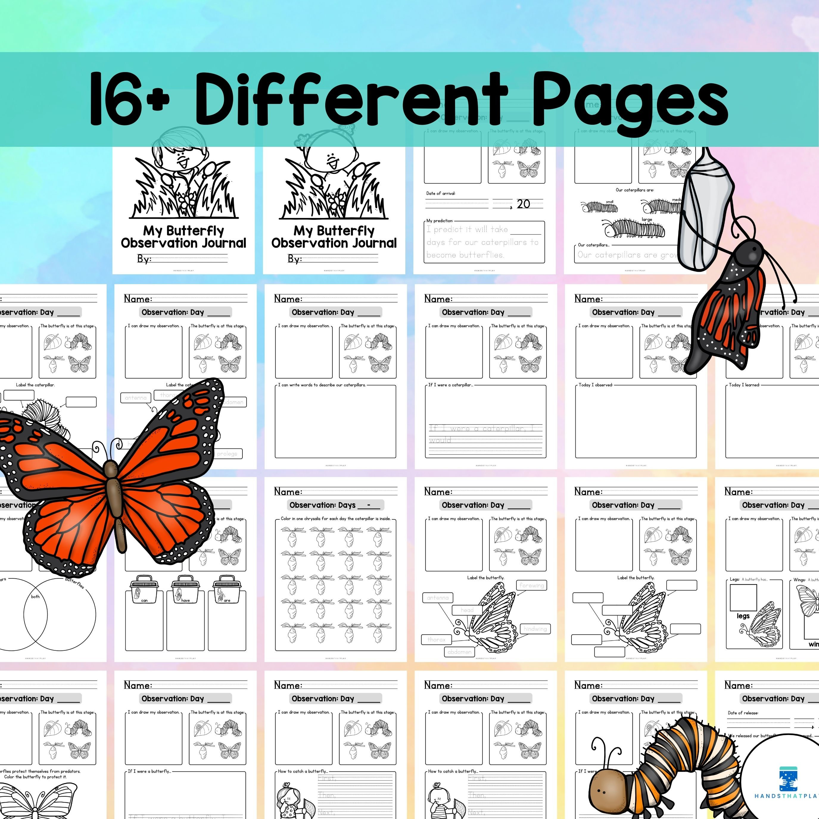 Butterfly Observation Journal - Life Cycle: Caterpillar to Butterfly - Etsy