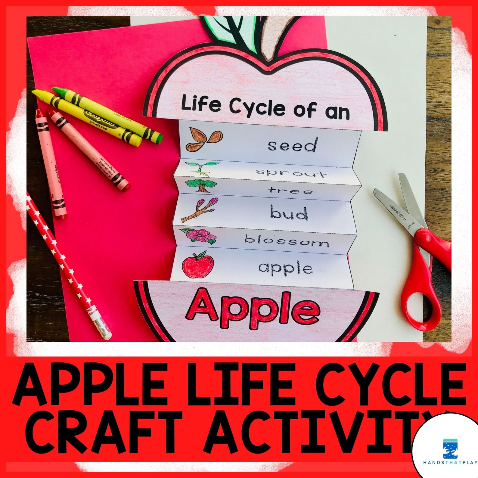 Apple Life Cycle Craft Activity: Printable Learning Activity - Etsy