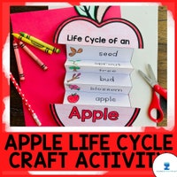 Classroom Number Line Display With Negatives up to 200 Rainbow ...