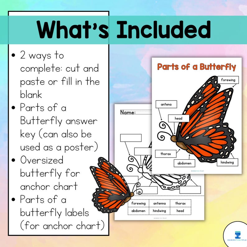 Butterfly Science - Label Parts of a Butterfly Diagram - Etsy