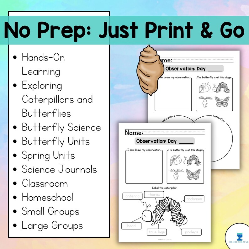 Butterfly Observation Journal - Life Cycle: Caterpillar to Butterfly - Etsy