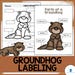Groundhog Science - Label Parts of a Groundhog Diagram - Etsy
