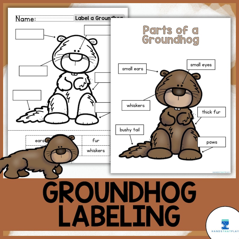 Groundhog Science - Label Parts of a Groundhog Diagram - Etsy