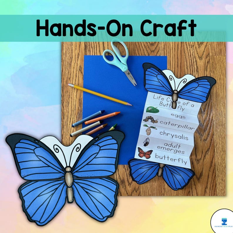 Butterfly Life Cycle | Life Cycle of a Butterfly | Craft - Etsy