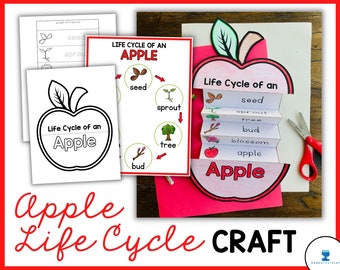 Life Cycle Craft - Etsy