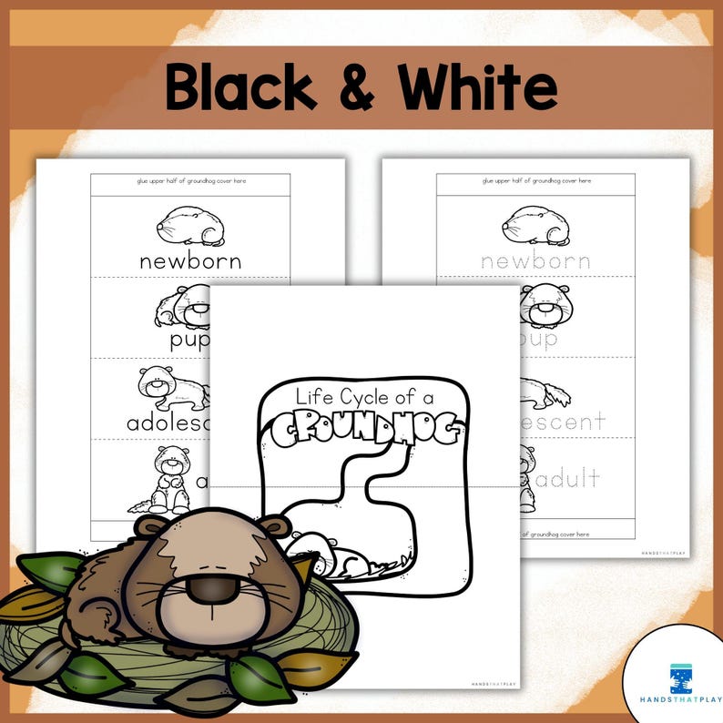 Groundhog Life Cycle | Life Cycle of a Groundhog | Craft - Etsy