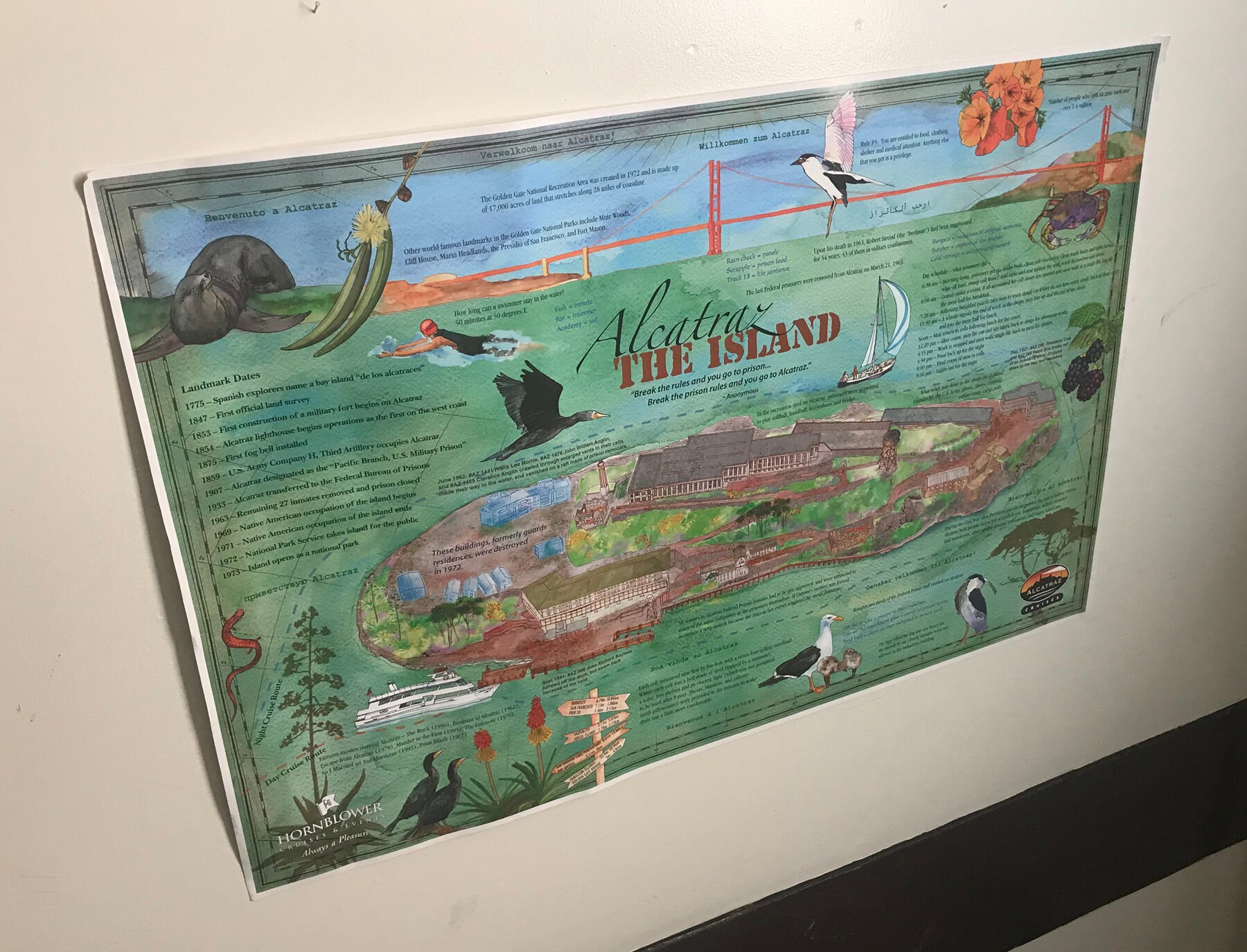 Custom Full Color ALCATRAZ ISLAND Large Poster - © Hornblower Cruises ...