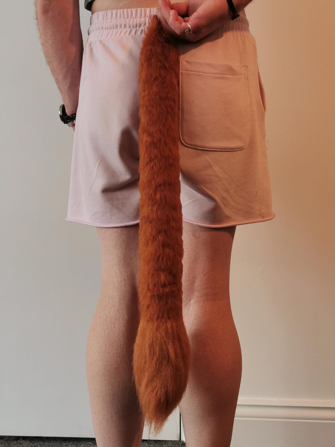 Chestnut Lion Costume 24inch Tail - Etsy