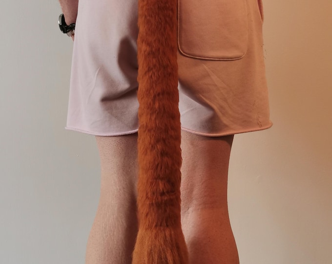 Chestnut Lion Costume 24inch Tail - Etsy