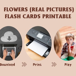 Flowers Flashcards With Real Picture, Types of Flowers Poster, Botany ...
