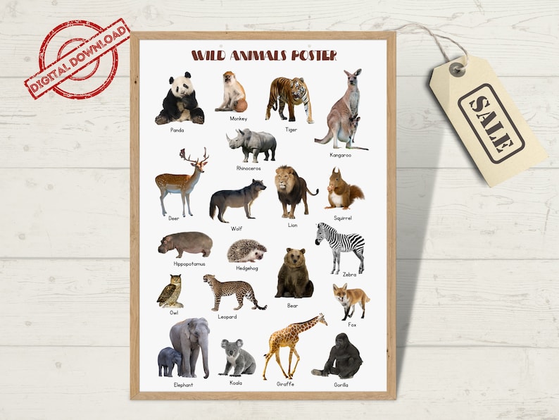 WILD Animals Poster With Real Pictures, Animal Portrait Print ...