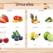 Fruits Flashcard real Picture, Montessori Printable Flashcard, Fruits ...