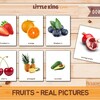 Daily Routine Flashcards for Kids, Visual Routine Cards Printable ...