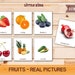 Fruits Flashcard (real Picture), Montessori Printable Flashcard, Fruits ...