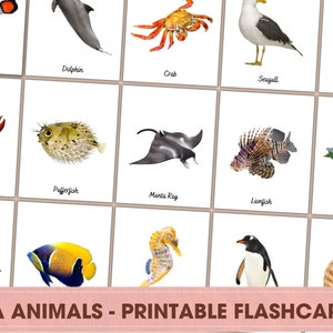 Sea Animals Flashcards Ocean Animals Montessori Flashcards - Etsy