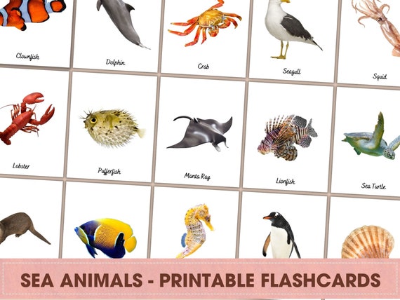 Sea Animals Flashcards Ocean Animals Montessori Flashcards - Etsy