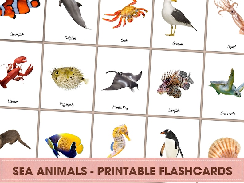 Sea Animals Flashcards Ocean Animals Montessori Flashcards - Etsy