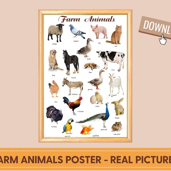 Animals Poster - Etsy