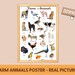 FARM ANIMALS POSTER (real Pictures), Montessori Poster, Poster ...