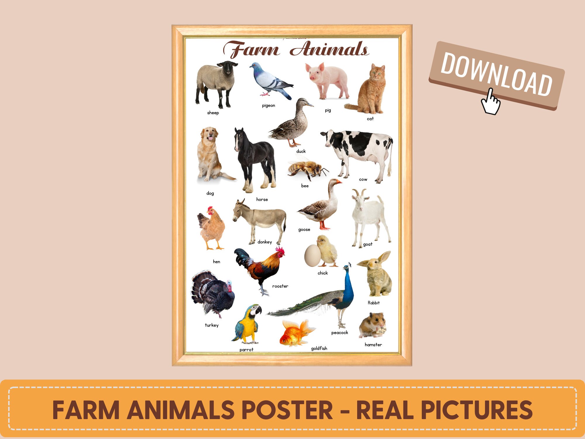 FARM ANIMALS POSTER (real Pictures), Montessori Poster, Poster ...