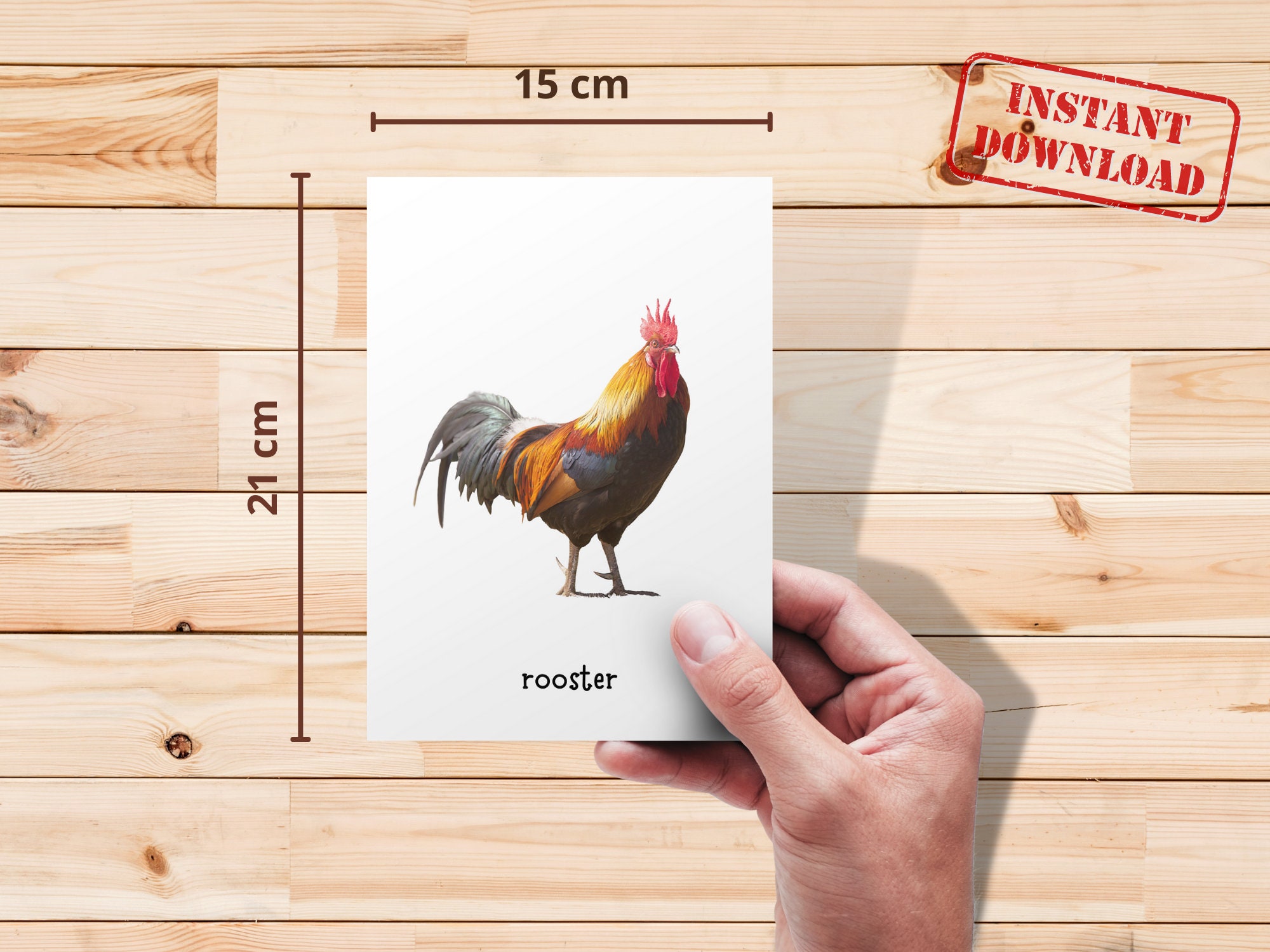 ANIMALS Real Pictures, Montessori Flashcards Printable, Doman ...