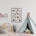 WILD Animals Poster With Real Pictures, Animal Portrait Print ...